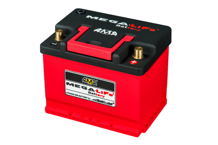 MEGA LiFe Battery